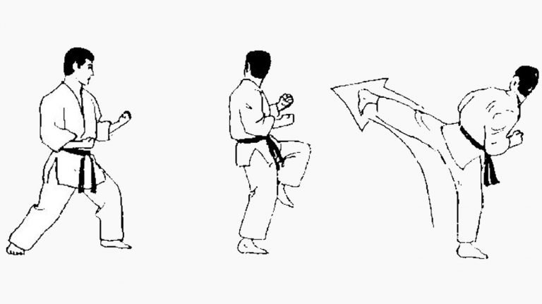√ KARATE: Pengertian, Sejarah, Aliran, Teknik, Peraturan Pertandingan