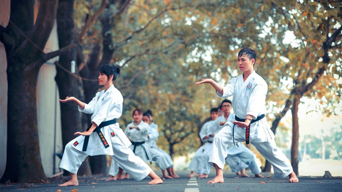 √ KARATE: Pengertian, Sejarah, Aliran, Teknik, Peraturan Pertandingan