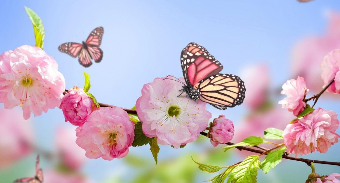 √ Pengertian Bunga: Bagian Utama, Struktur, Jenis, Proses Produksi