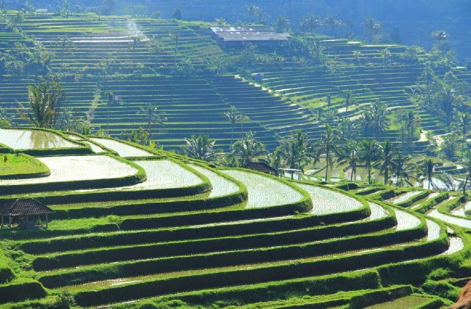 √ TERASERING - Pengertian, Jenis, Fungsi (Rangkuman Lengkap)