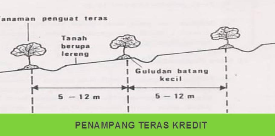 √ TERASERING - Pengertian, Jenis, Fungsi (Rangkuman Lengkap)