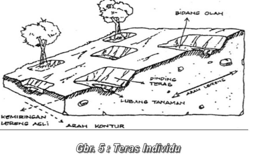 √ TERASERING - Pengertian, Jenis, Fungsi (Rangkuman Lengkap)