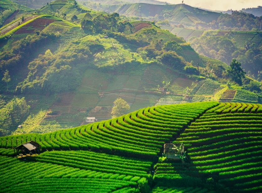 √ TERASERING - Pengertian, Jenis, Fungsi (Rangkuman Lengkap)