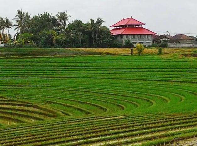 √ TERASERING - Pengertian, Jenis, Fungsi (Rangkuman Lengkap)