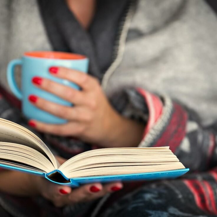 √ PRONOMINA: Pengertian, Jenis Jenis, Contoh