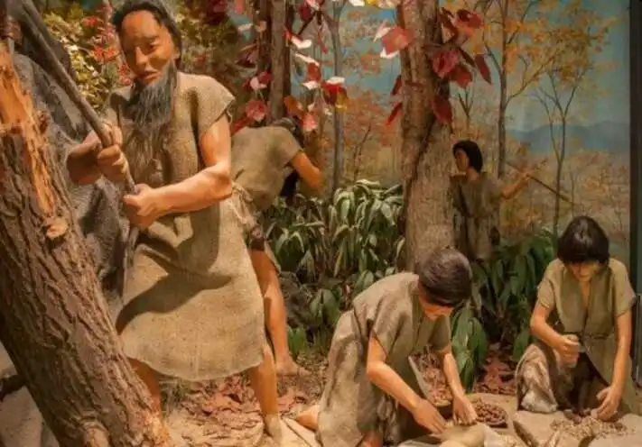 √ KAPAK PERIMBAS: Fungsi, Ciri Ciri, Lokasi Ditemukan